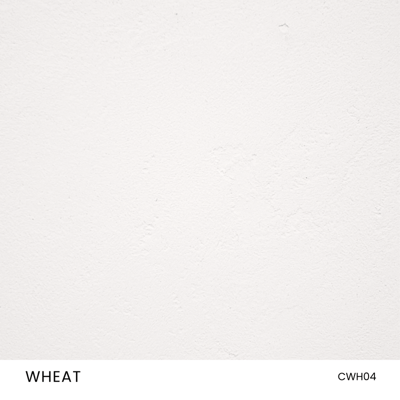 Home CLAYSTONE PLASTER CLAYSTONE PLASTER SAMPLE